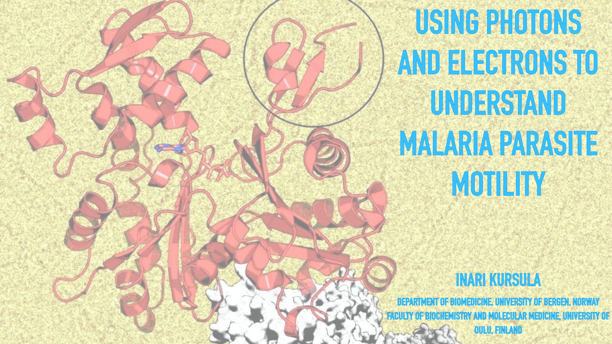 Presentations – Baltic Science Network